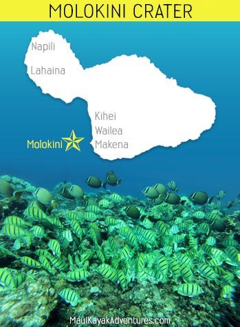 The Best Snorkeling Spots Around Maui Hawaii | Unique Free Maps